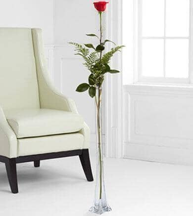 The Ultimate Rose - Single Stem 4-Foot Rose - Flower Company